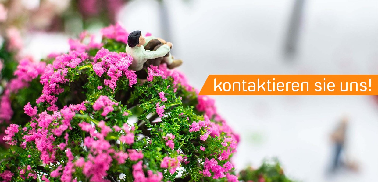 Plenter, Hiltmann & Müller - kontakt